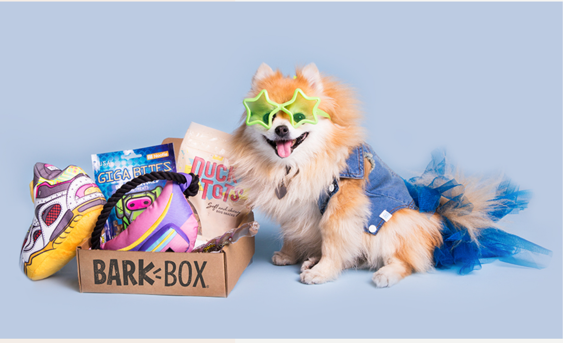 Top Subscription Boxes For Your Dogs